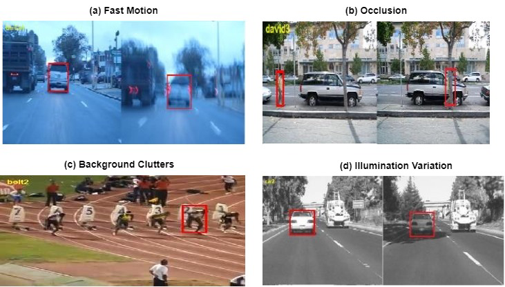 Object Detection Projects Using Yolov5 /yolov7 /yolov8, 48% OFF