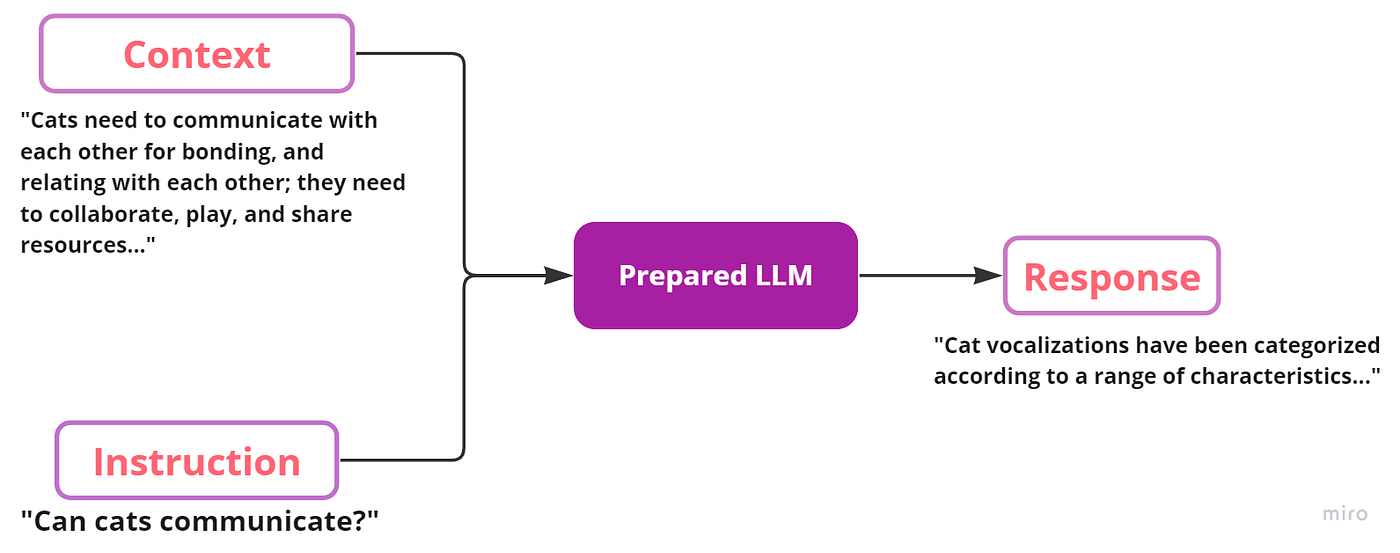 Comprehensive Guide to Fine Tuning a Large Language Model