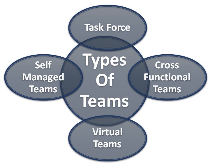 Virtual Team Structure