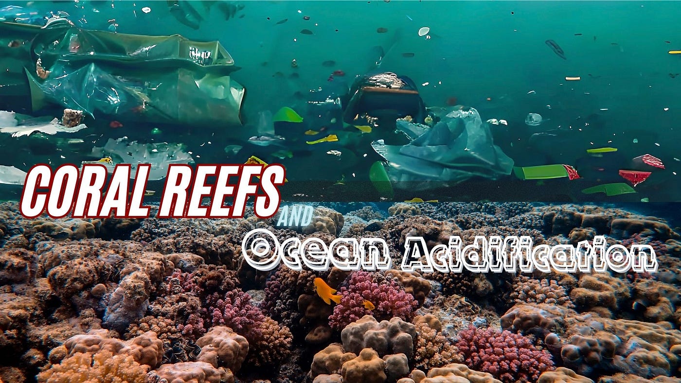 Ocean Acidification Coral Reefs