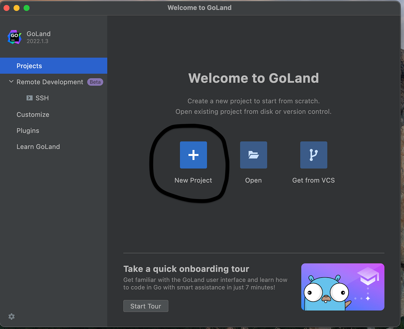 Go Goland Ide Not Correctly Compiling How To Setup