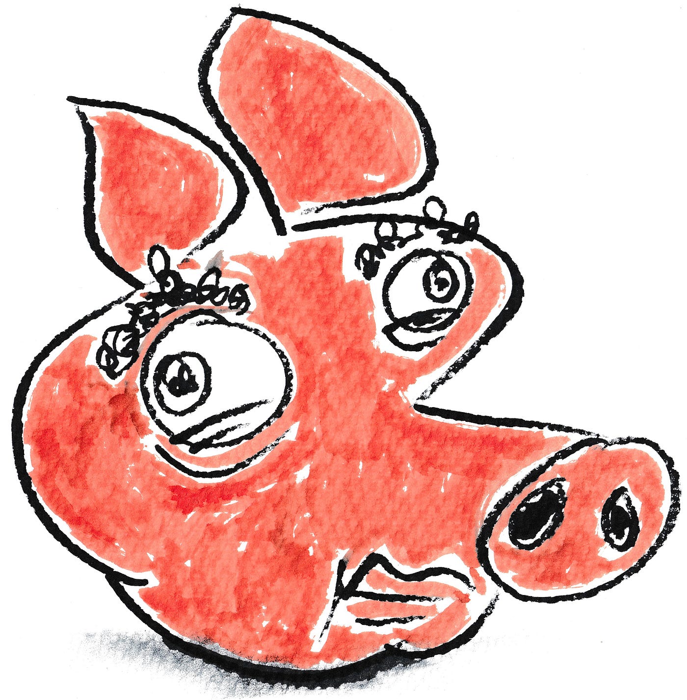 Pork Head Drawing