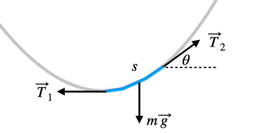 Catenary Equation Determining The Shape Of A Hanging Cable Using Basic