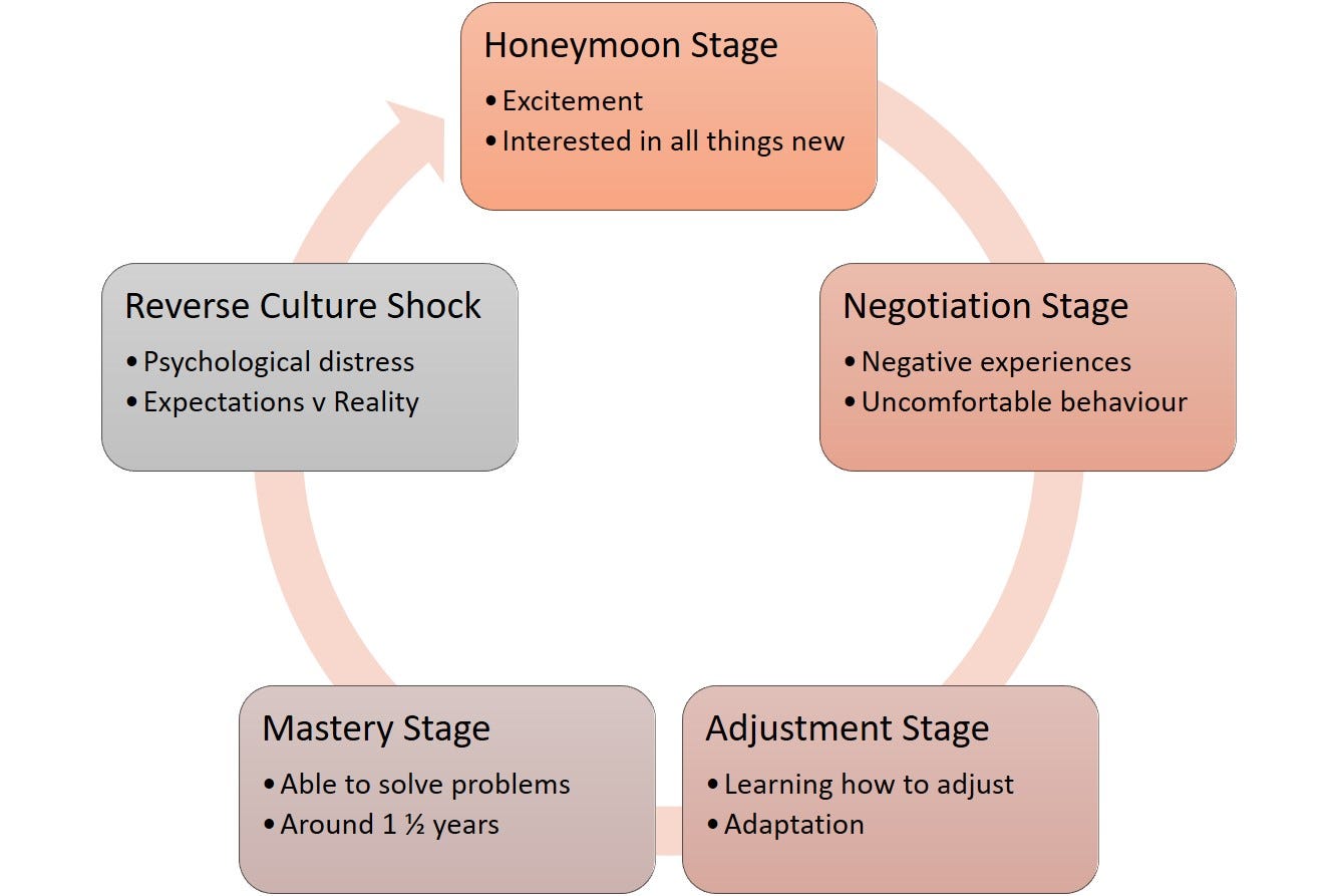 Culture Shock Examples