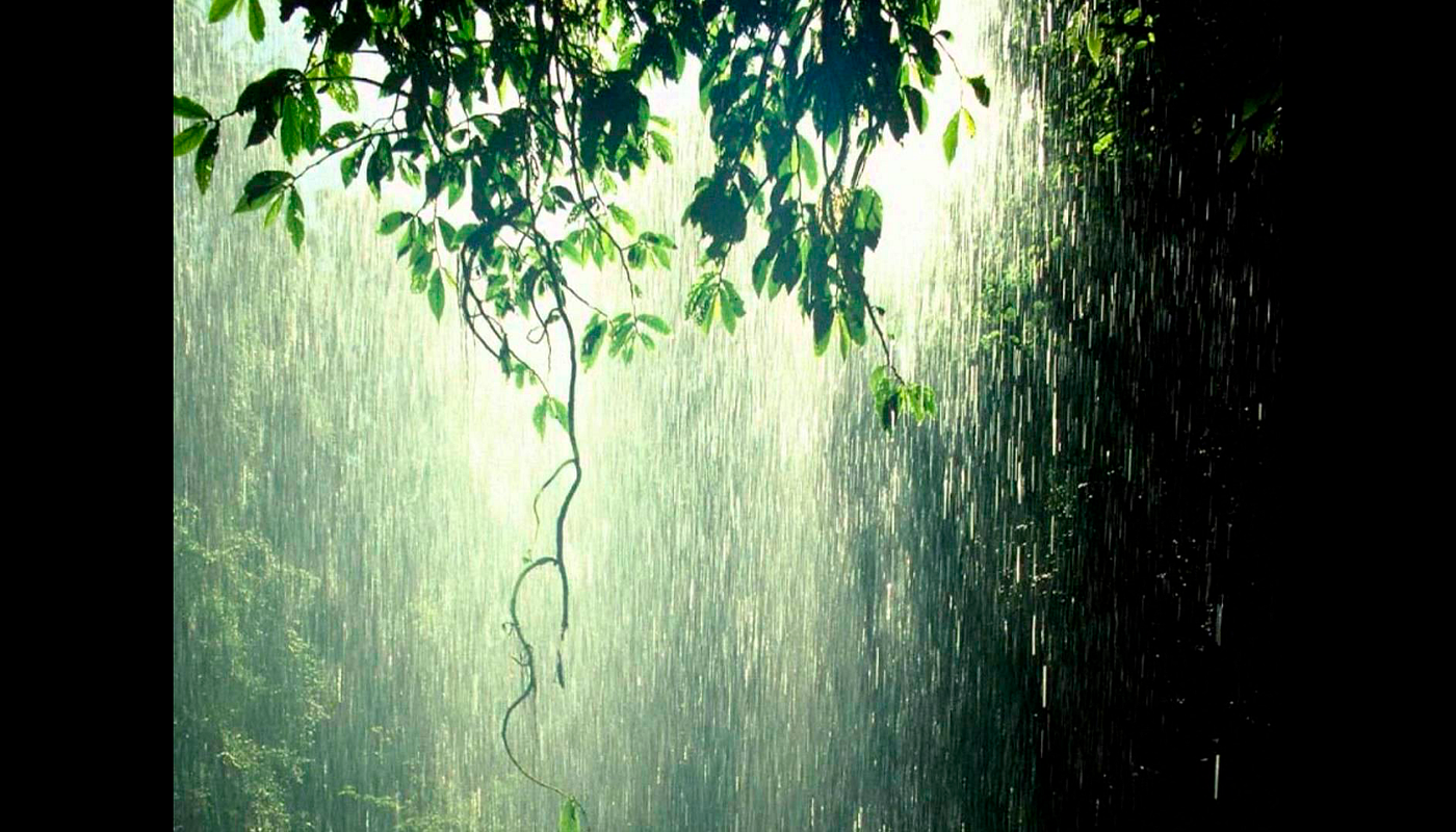 Haiku Poems About Rain