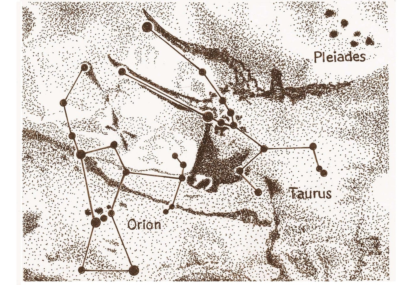 Orion Mythology Family Tree