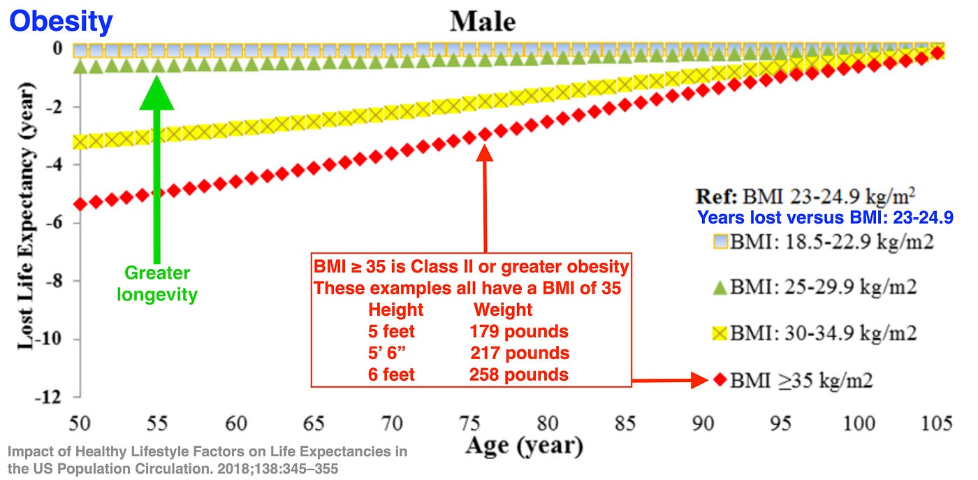Overweight Person Life Expectancy