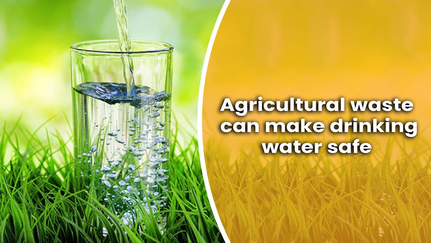 Agricultural Waste In Water