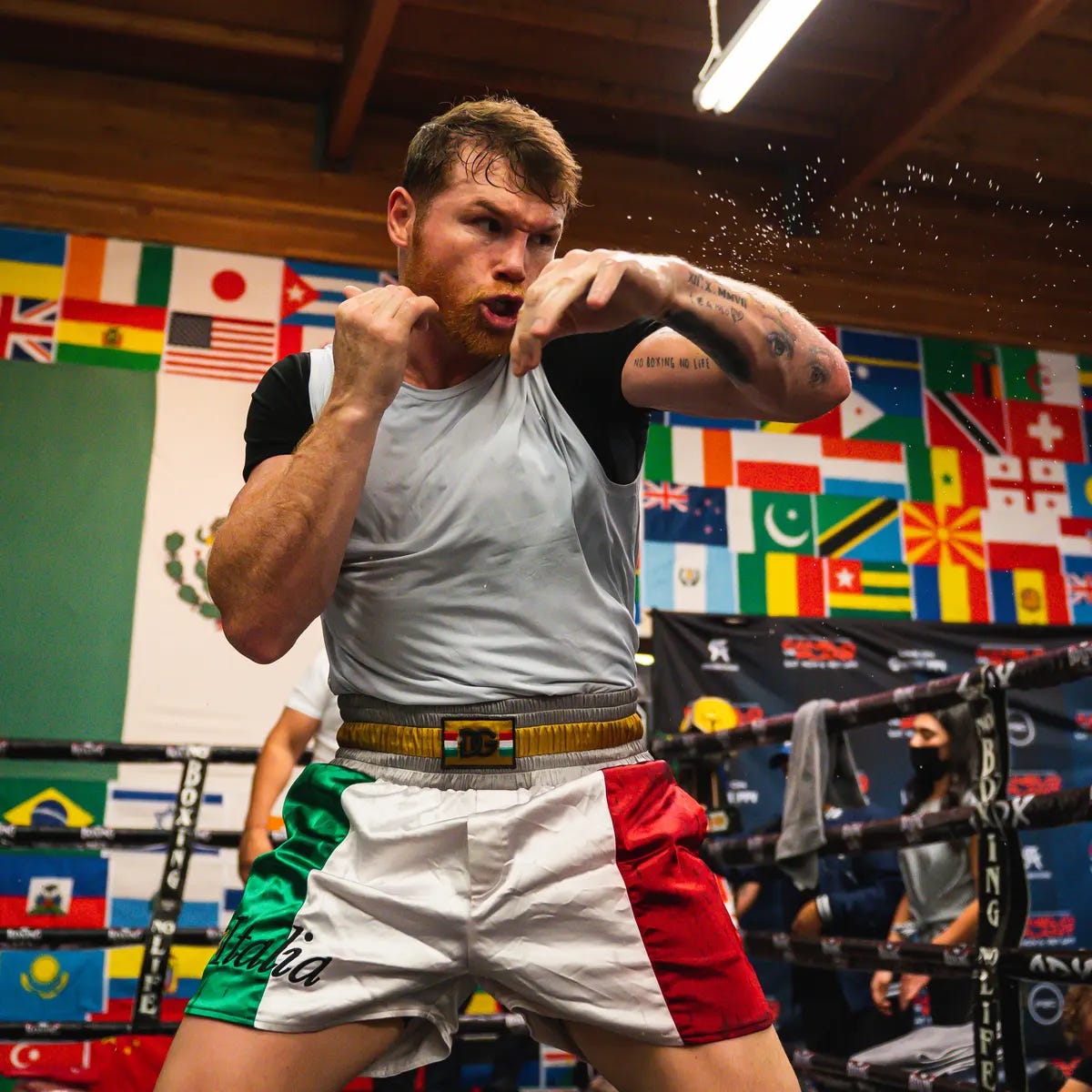 Is Canelo Alvarez Mexican