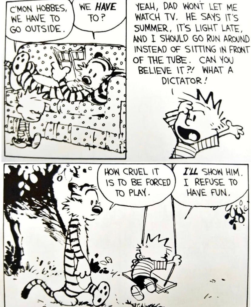 Funny Comic Strips Calvin And Hobbes