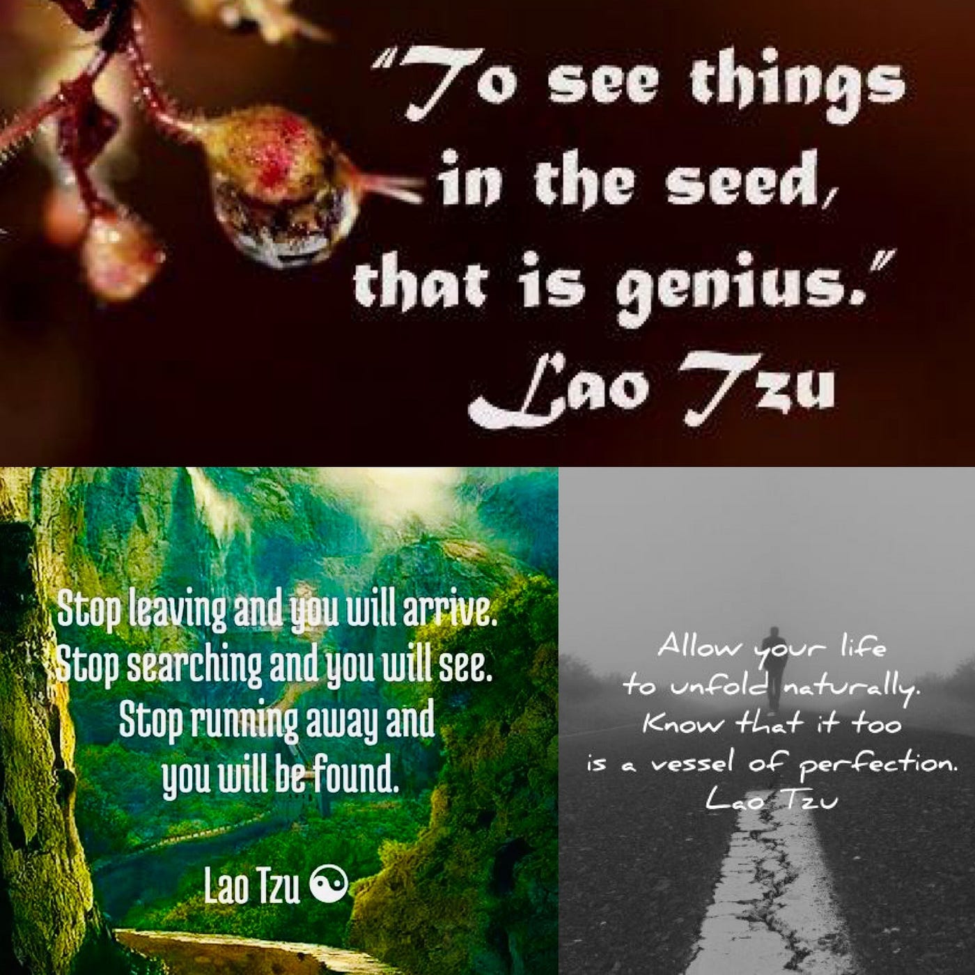 John Stop Quotes