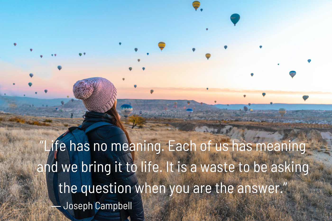 Life No Meaning Quotes