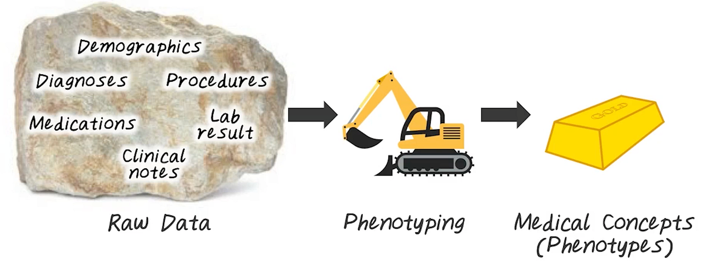 What Is A Computational Phenotype | brainlink