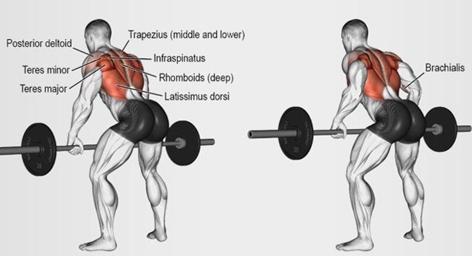 Bent Over Row
