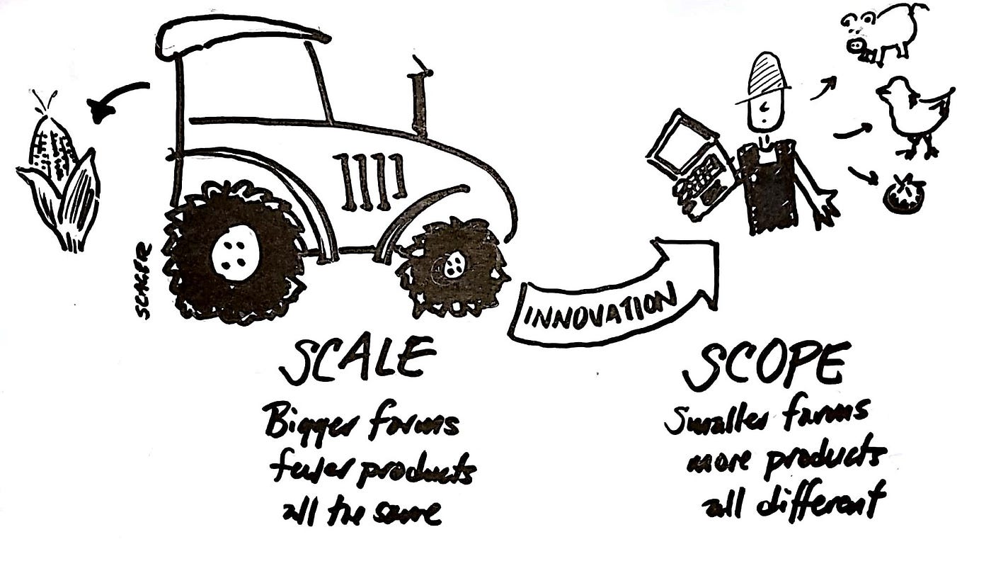 Economies Of Scale And Scope