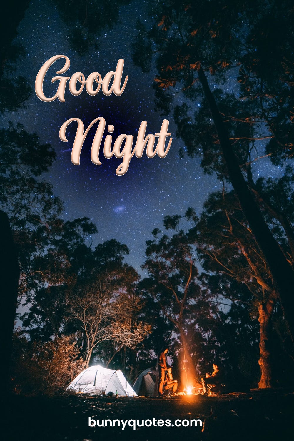 Good Night Humor Quotes