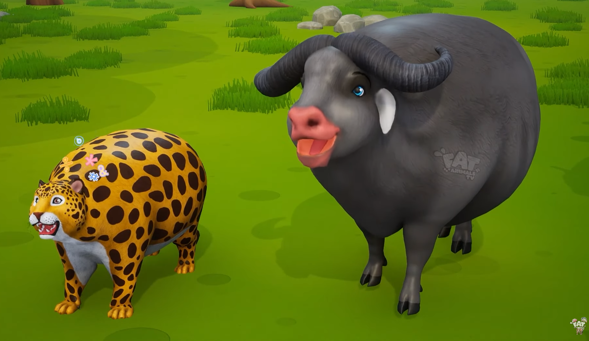 Funny Fat Elephants