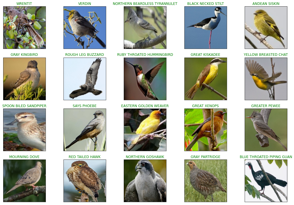 Pre Birds Species