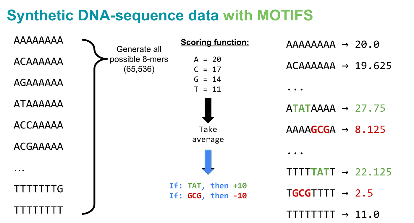 Similar Dna Sequences