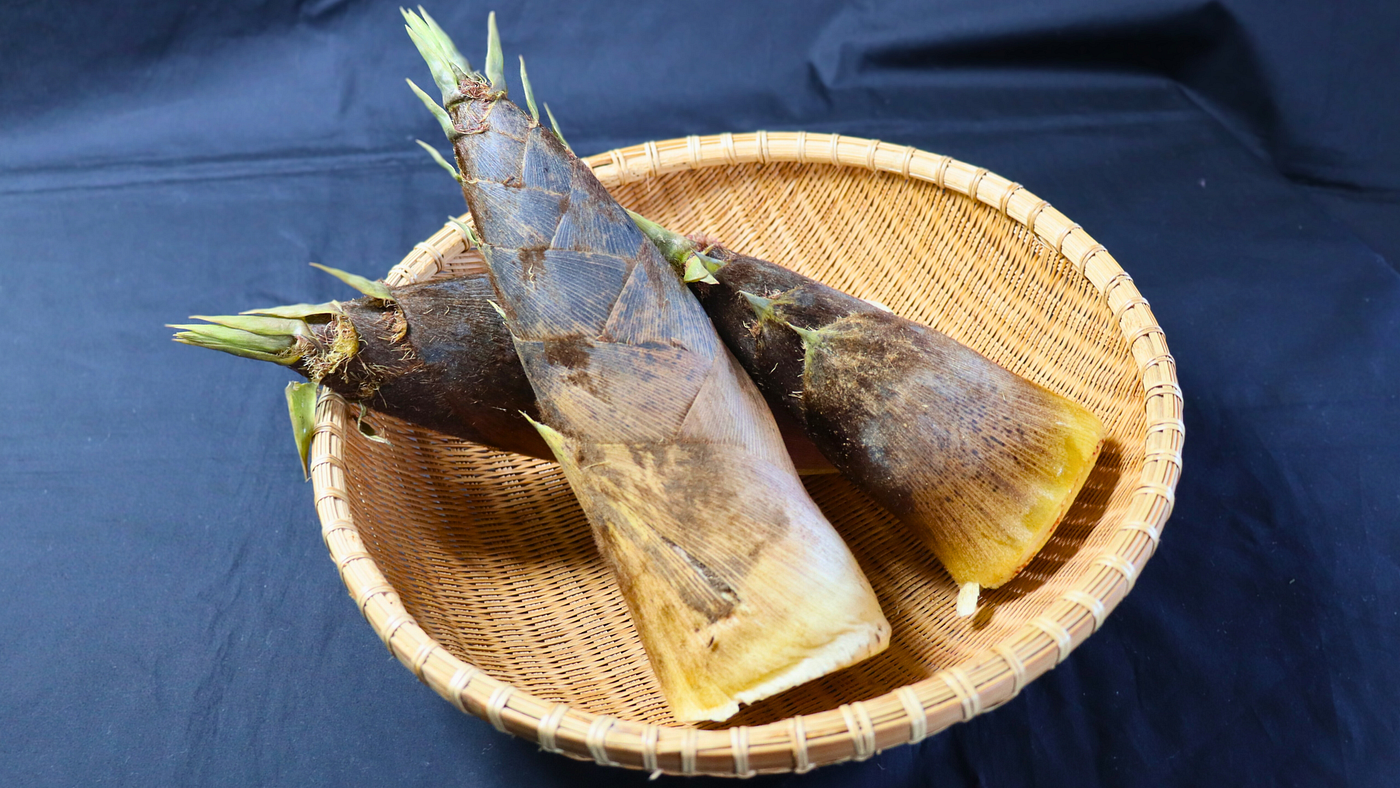 Japan Bamboo Shoots