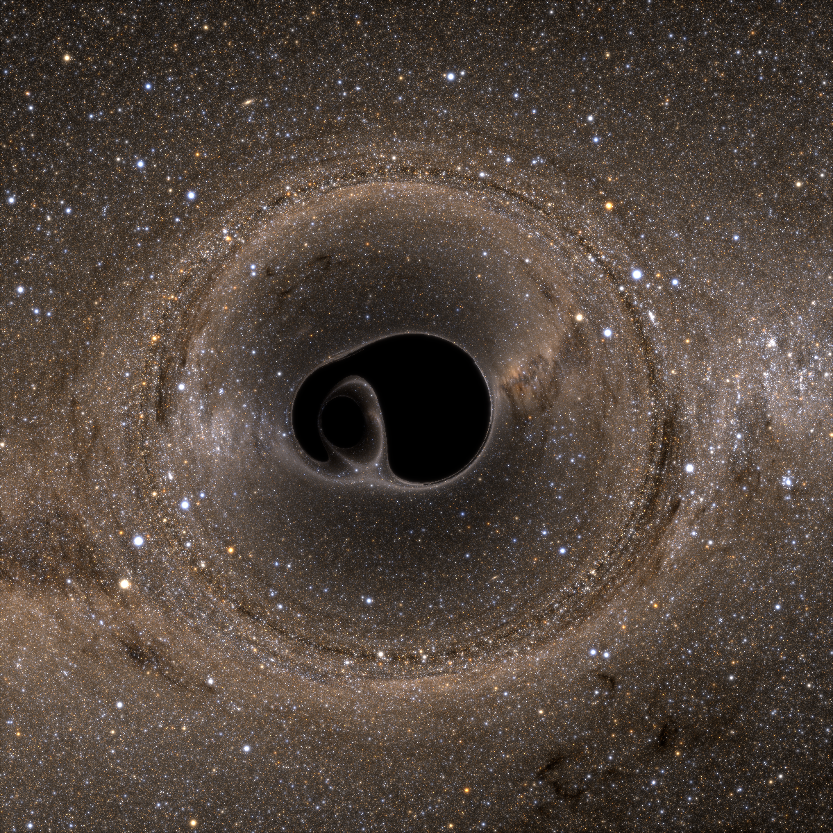 Black Hole X Shape