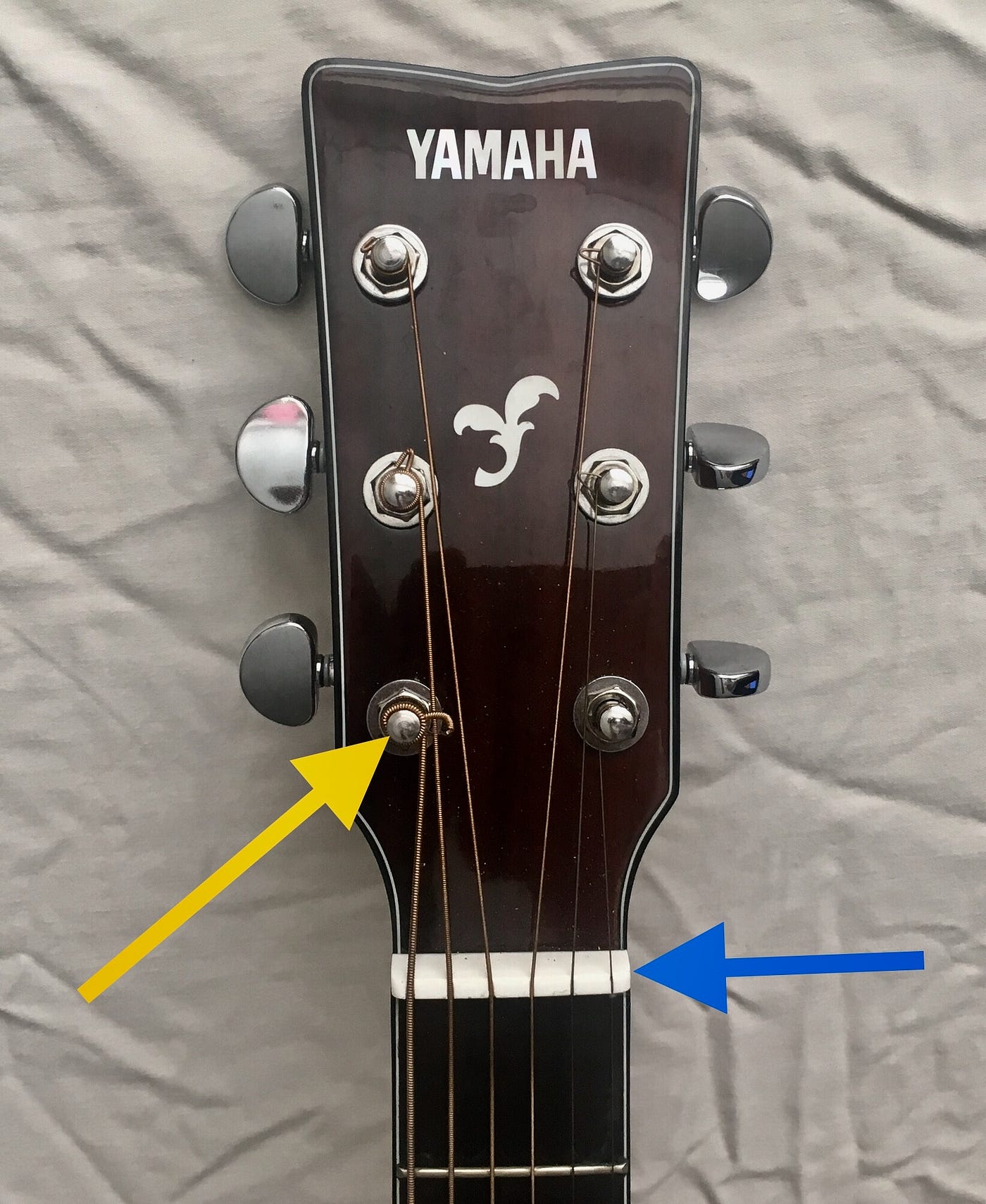 Acoustic Guitar String Diagram