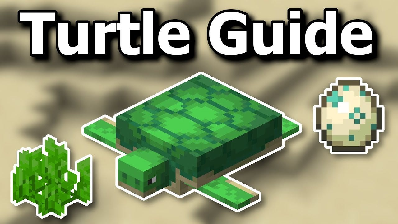 How To Make Turtles In Minecraft Grow Faster