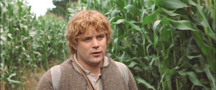 Lord Of The Rings Frodo And Sam Relationship