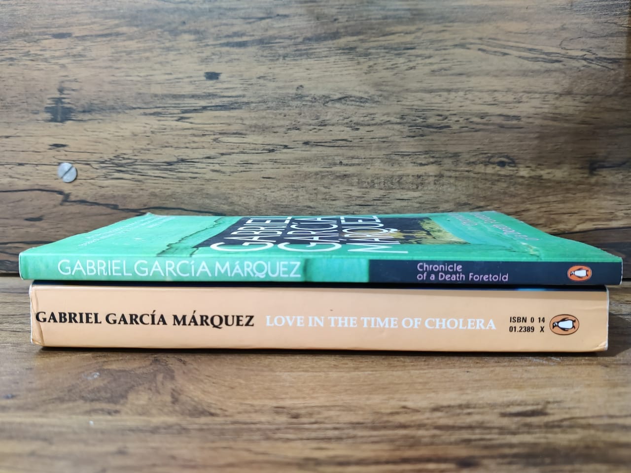 Gabriel Garcia Marquez Books