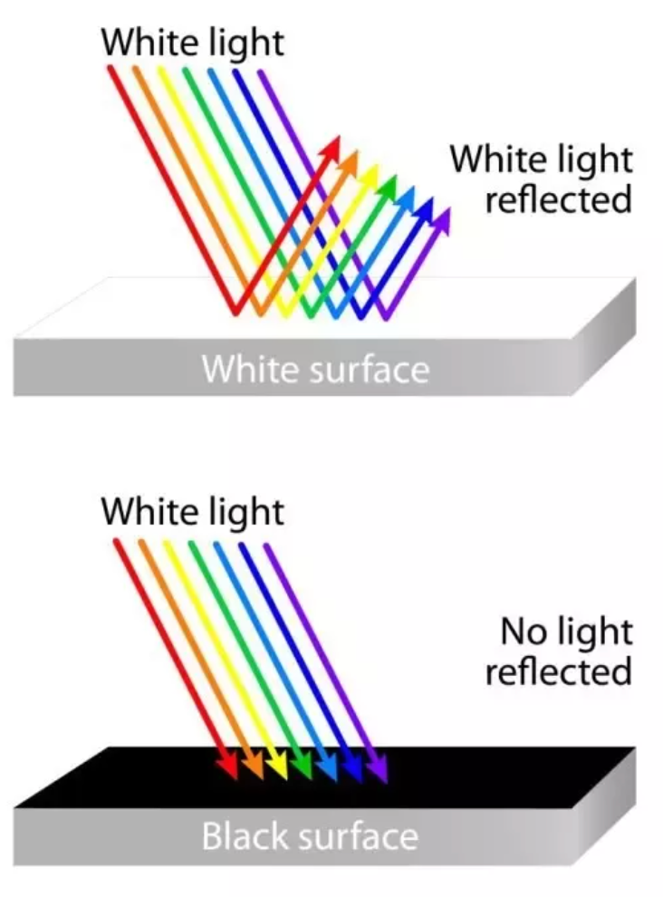 Enter The Laboratory Making Color Spatial The Elephantine Memories Of