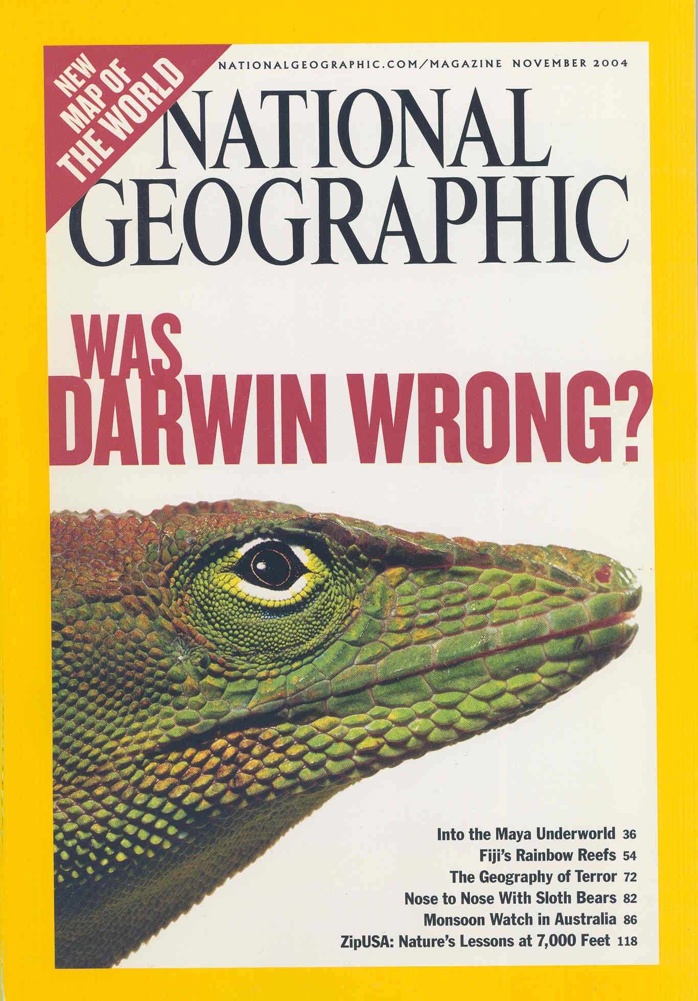 Magazine Headlines Examples