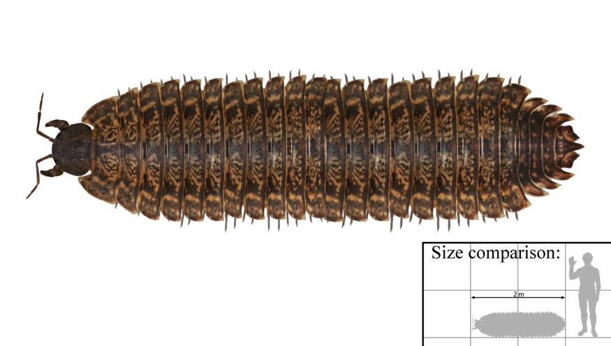 Prehistoric Giant Centipede