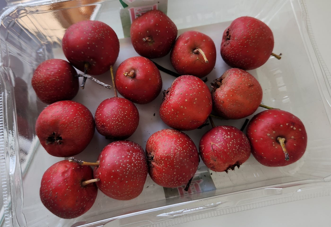Chinese Hawthorn Fruit