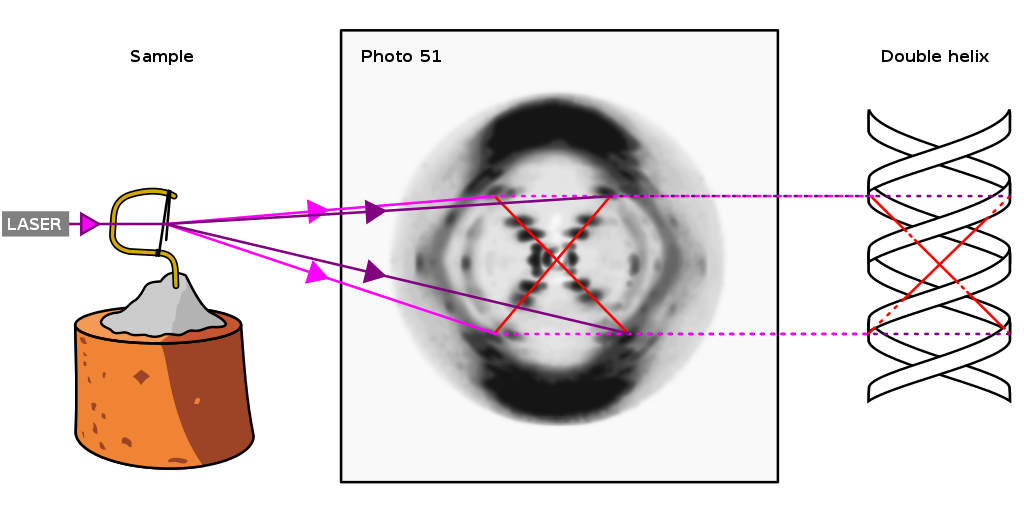 Dna Double Helix X Ray Crystallography