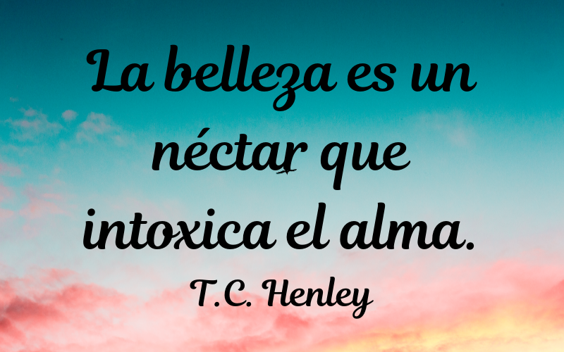Frases Sobre La Belleza De Las Mujeres