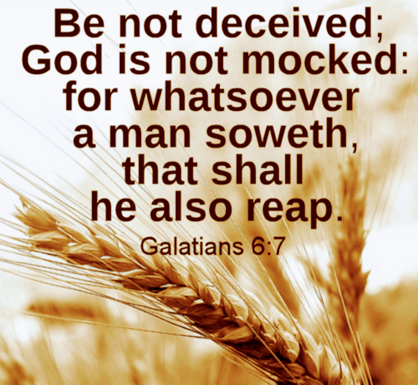Whatever Shall You Reap You Sow