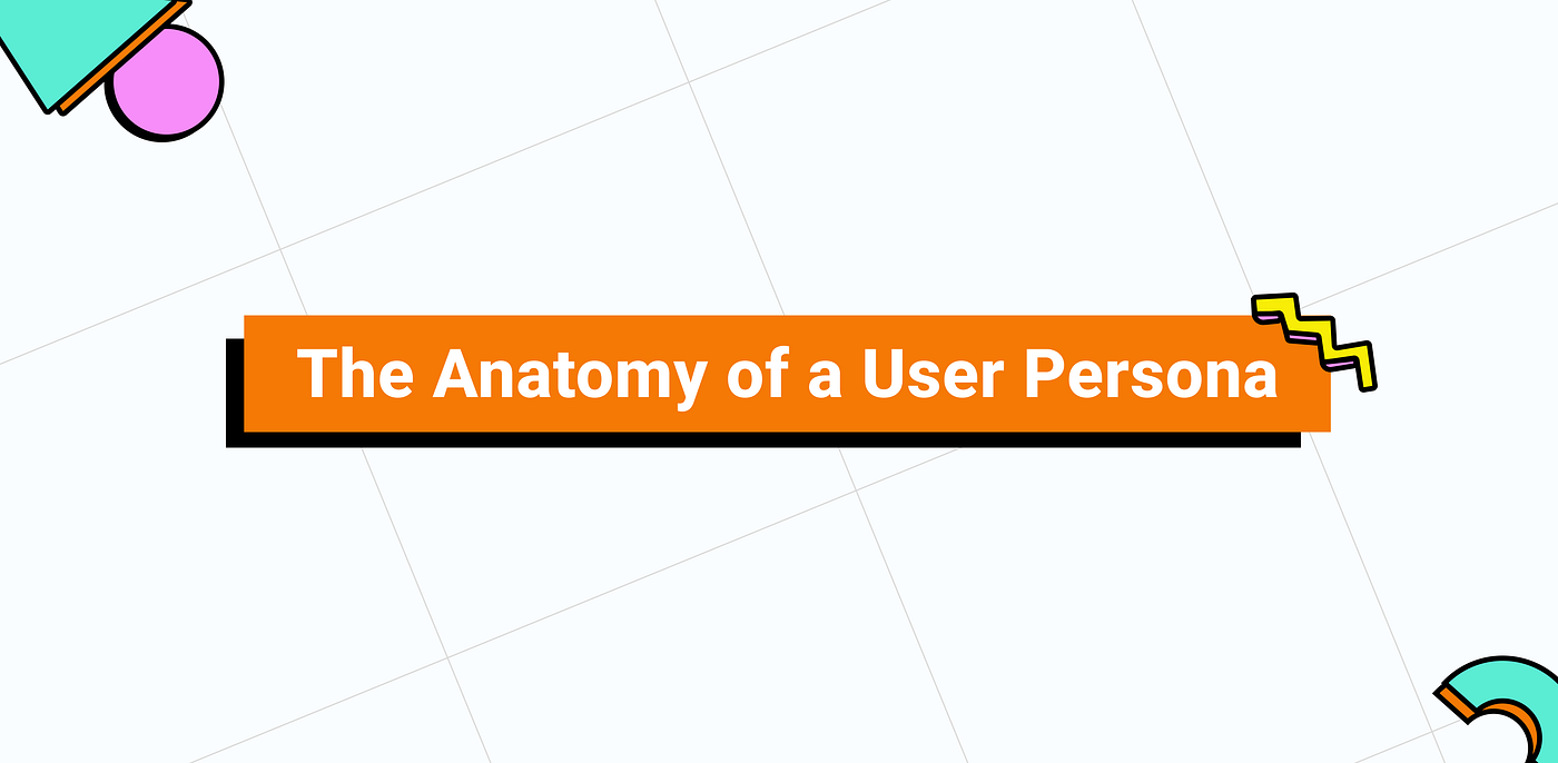 Anatomy Of The User