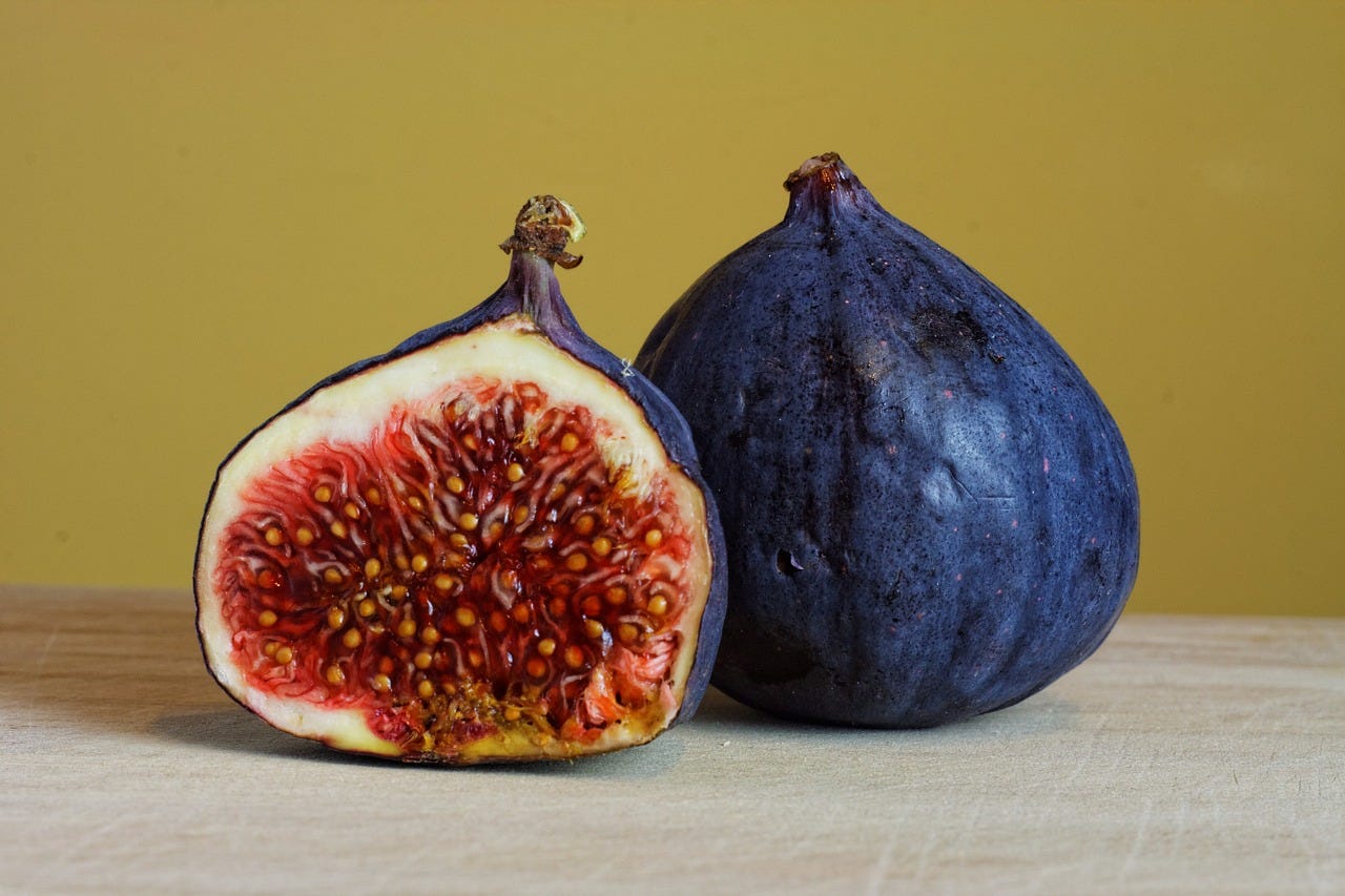 Dried Fig Tree Fruit