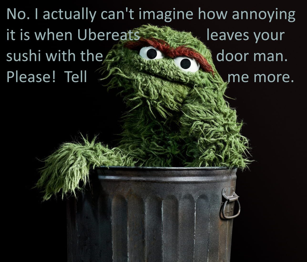 Va Oscar The Grouch