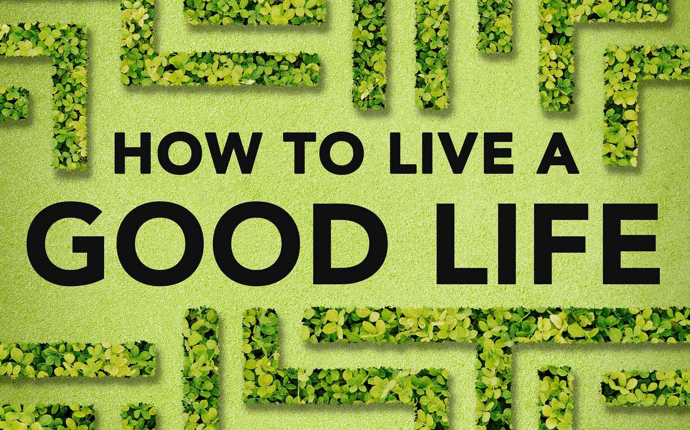 Live A Nice Life Flash Sales | emergencydentistry.com
