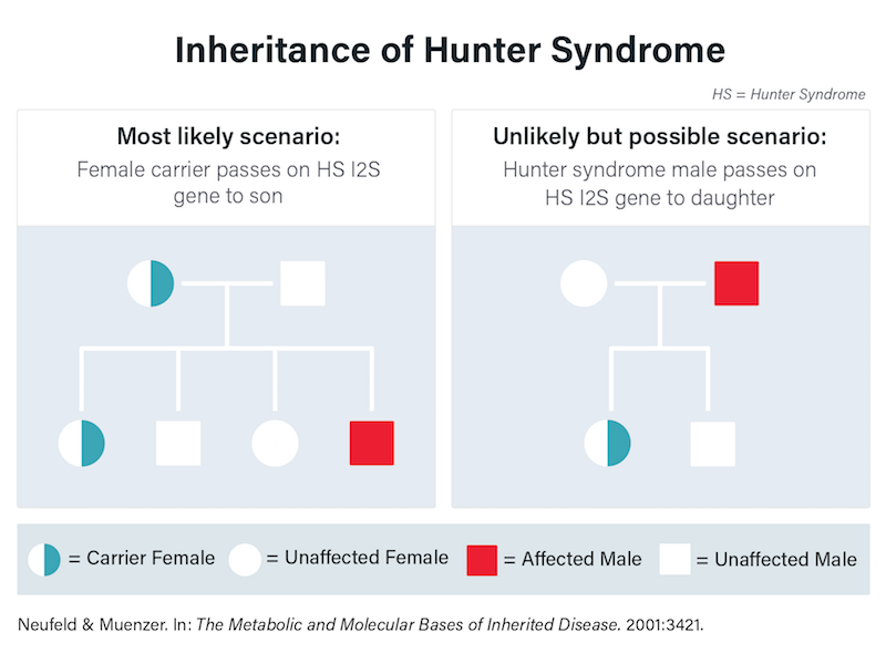 Hunter's Syndrome Life Expectancy