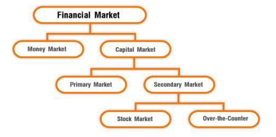 Financial Markets Structure