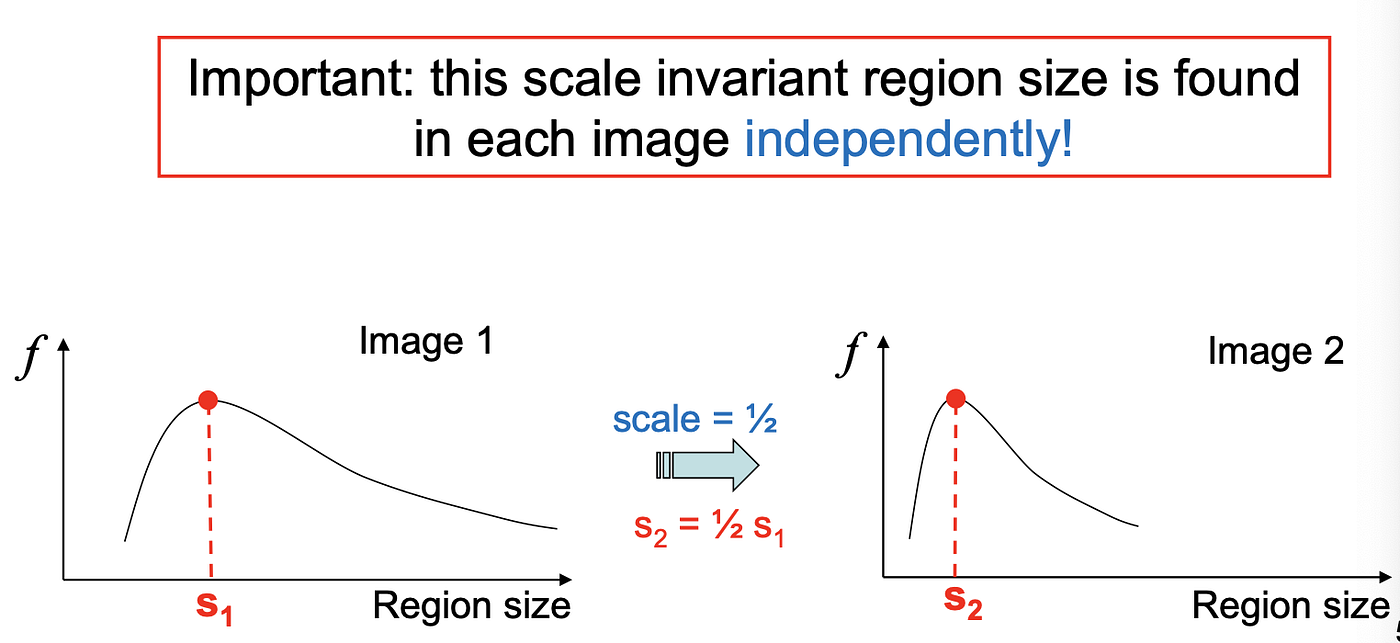 Scale Invariance
