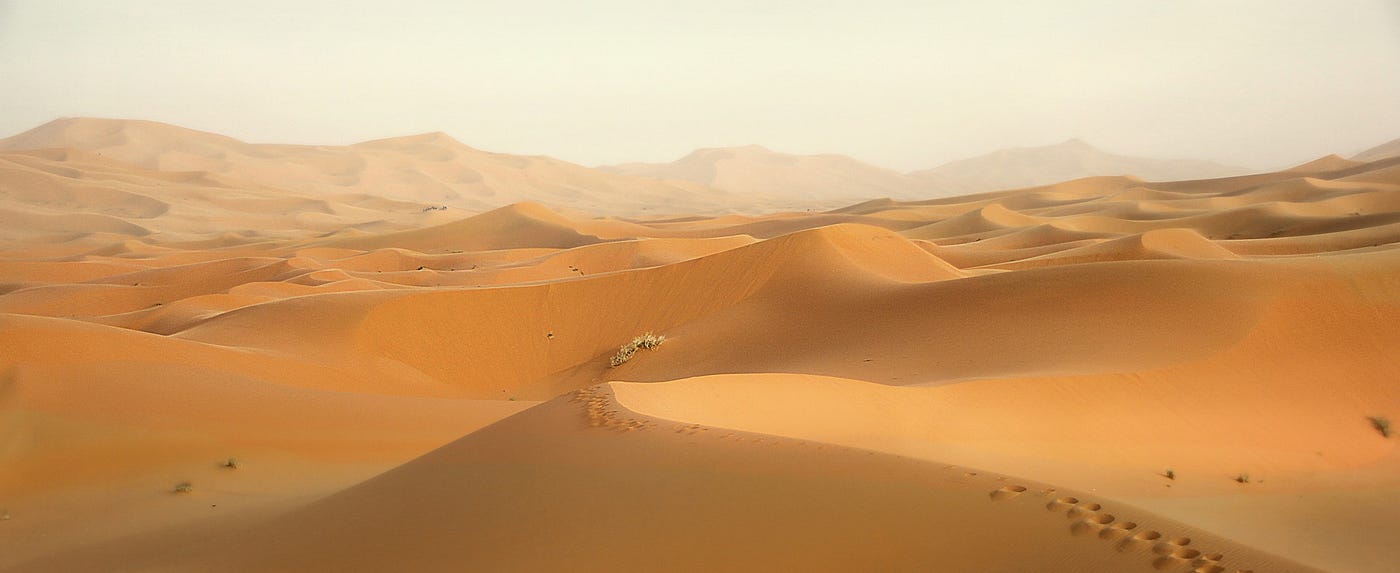 Stranded In A Desert