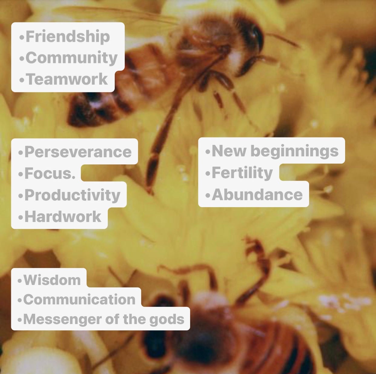 What Does A Queen Bee Symbolize