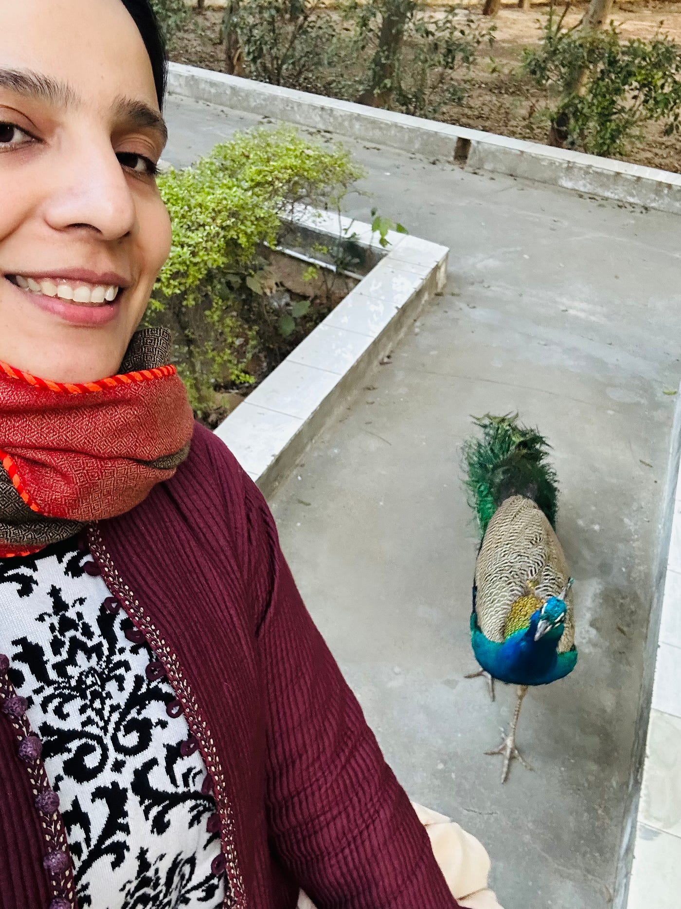 Garima Sharma's Instagram, Twitter & Facebook on IDCrawl