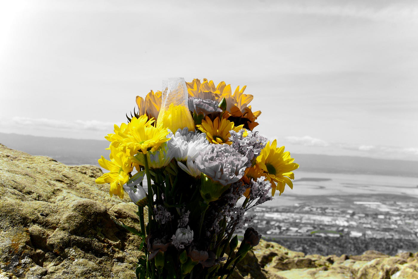 Narcissus And Echo Mark Of Athena