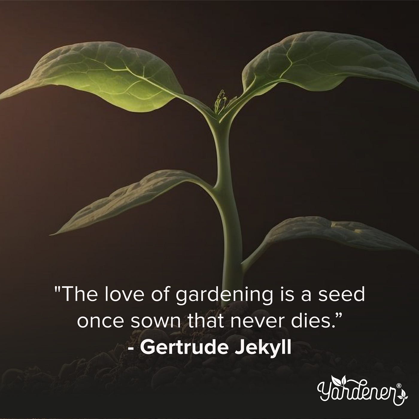 Gardening Soul Quotes 60 Inspirational Quotes About Gardening Food