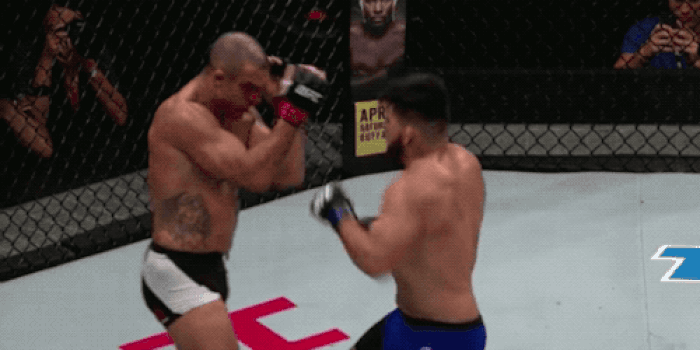 Anderson Silva Broken Leg Gif