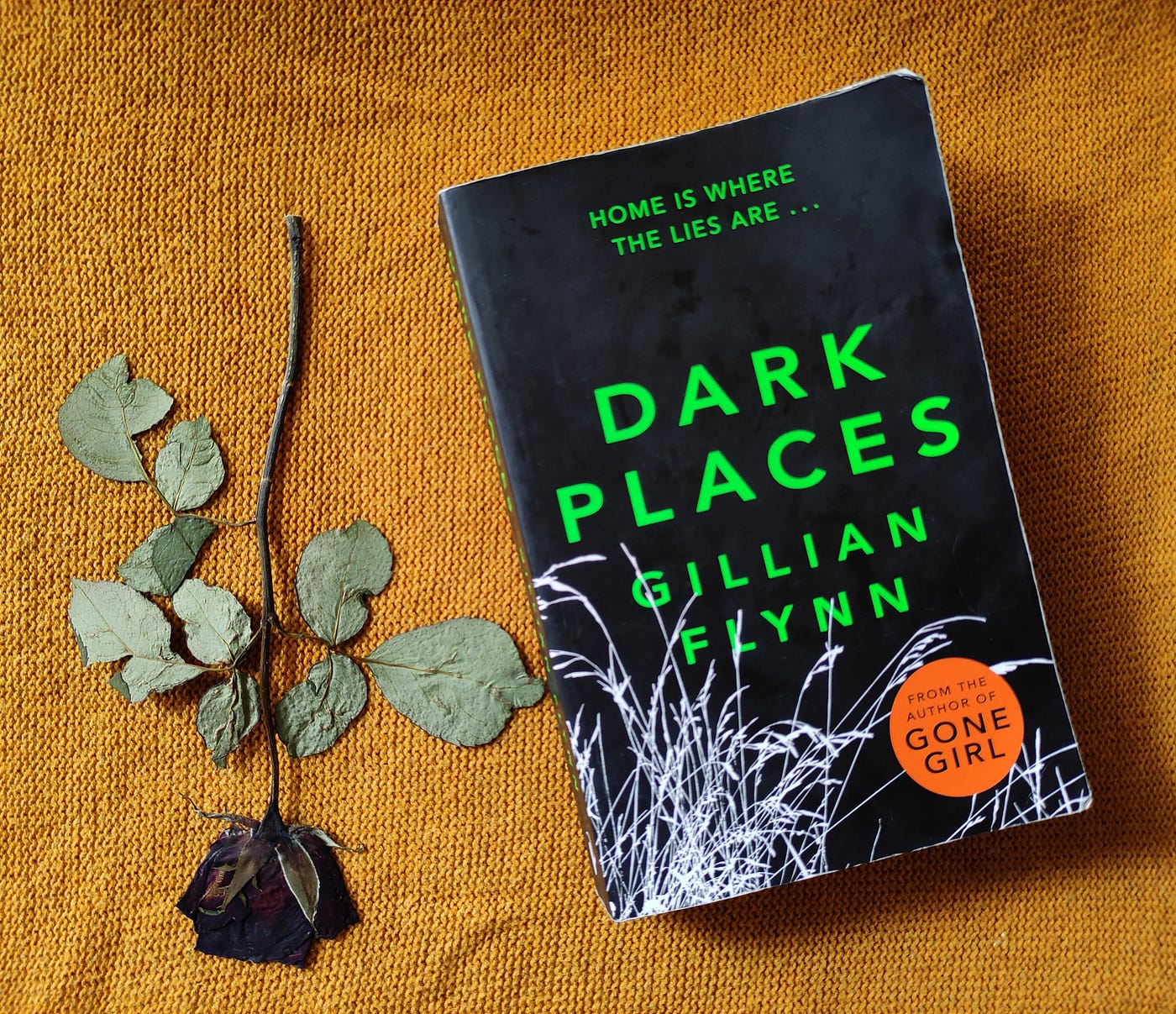 Dark Places Book